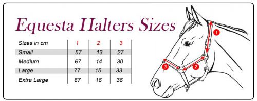 Equesta - Soft Horse Halter & Lead Set- Red