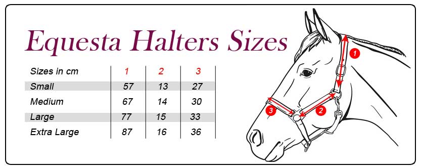 Equesta - Soft Horse Halter & Lead Set- Red