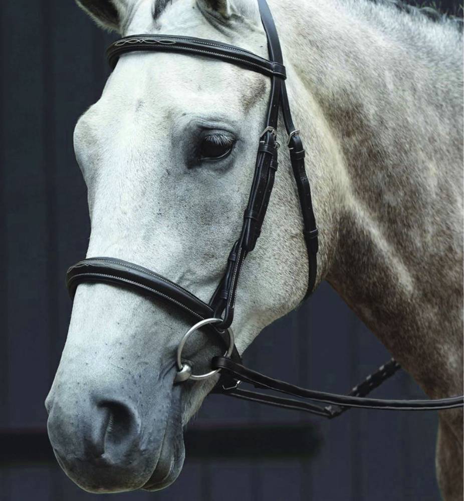 Padded Horse Bridle with White Stitching